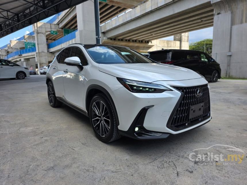Recon JPN UNREG# 2023 Lexus NX 250 2.5 Luxury SUV (GRADE 5A) - Carlist.my