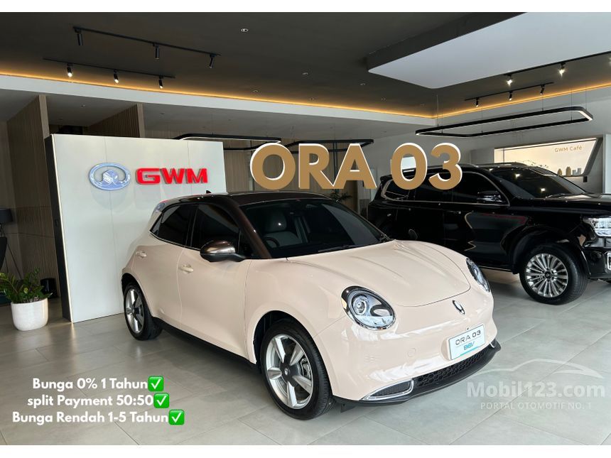 Jual Mobil GWM Ora 03 2025 di DKI Jakarta Automatic Hatchback Lainnya ...