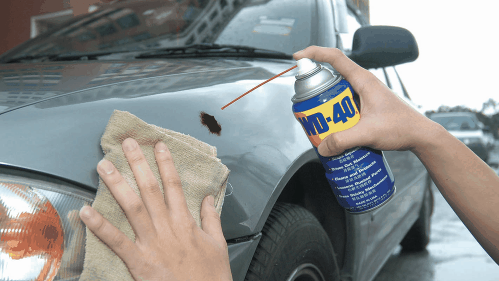 Fakta yang Jarang Dibahas Mengenai WD-40 untuk Cat Mobil: Aman atau ...
