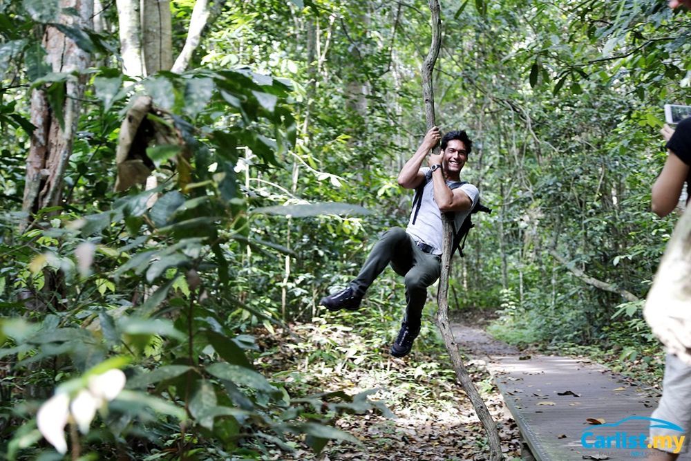 Welcome To The Jungle… Mercedes-Benz Style - Live Life Drive | Carlist.my