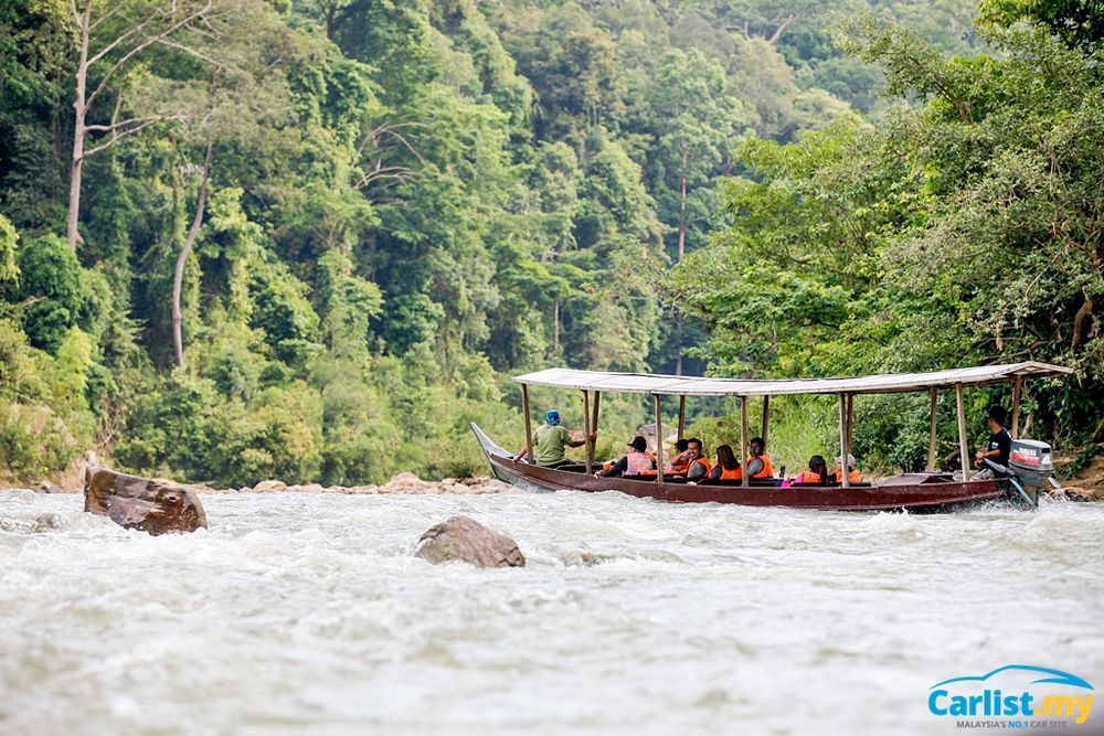 Welcome To The Jungle… Mercedes-Benz Style - Live Life Drive | Carlist.my