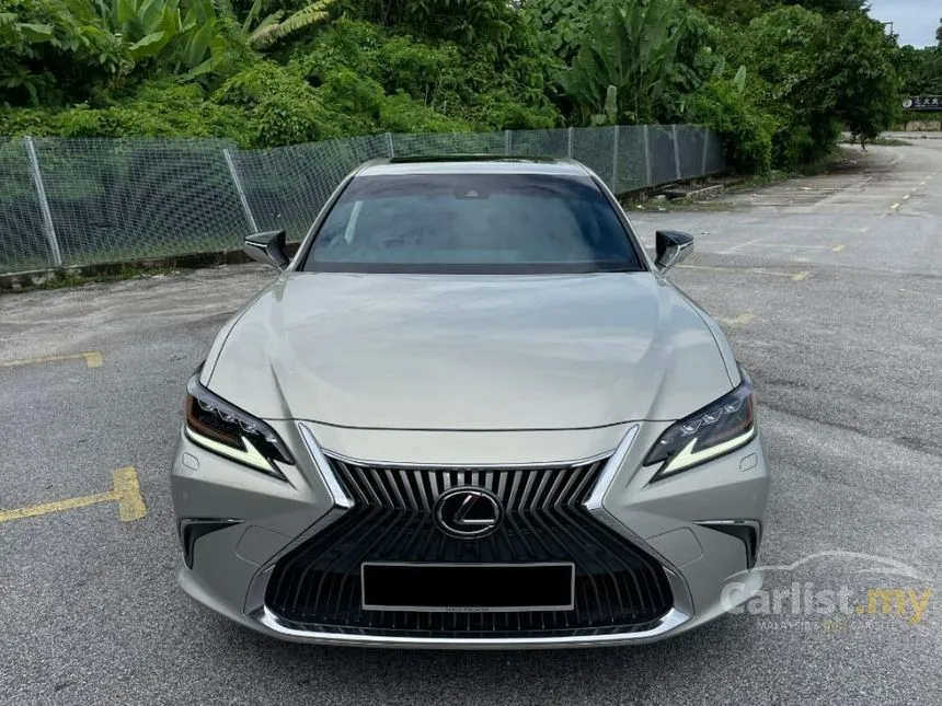 Terpakai 2020 Lexus ES250 2.5 Luxury Sedan (A) GUARANTEE No Accident/No ...