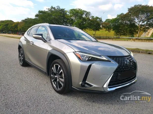 Fascinating Lexus Ux 200 For Sale Gallery