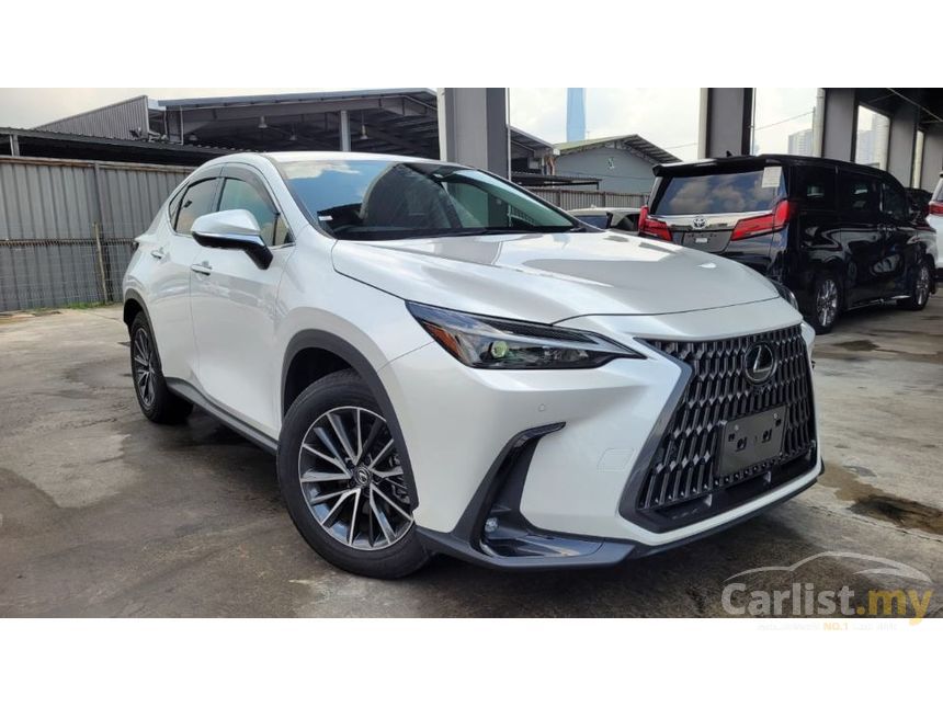 Recon 2023 Lexus NX250 2.5 Luxury SUV 360 Camera PCS LDA BSM PB Unreg ...