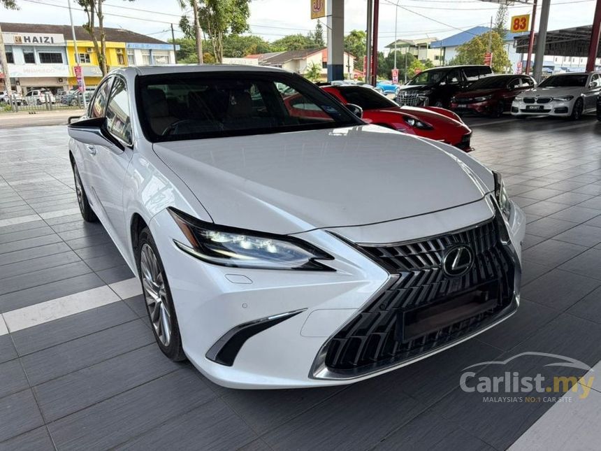 Used 2022 Lexus ES 250 2.5 Luxury Sedan - 1 Careful Owner, Nice ...