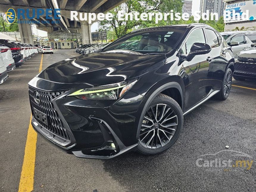 Recon 2022 Lexus NX 250 2.5 LUXURY SUNROOF 4 LED 2 MEMORY SEATS 360 ...
